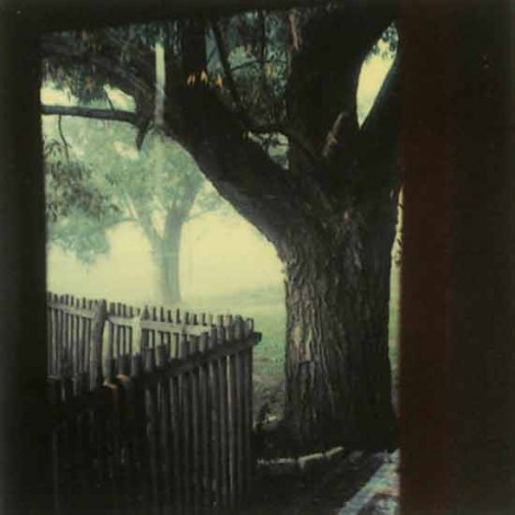 Andrei Tarkovsky: Instant Light | The Culturium