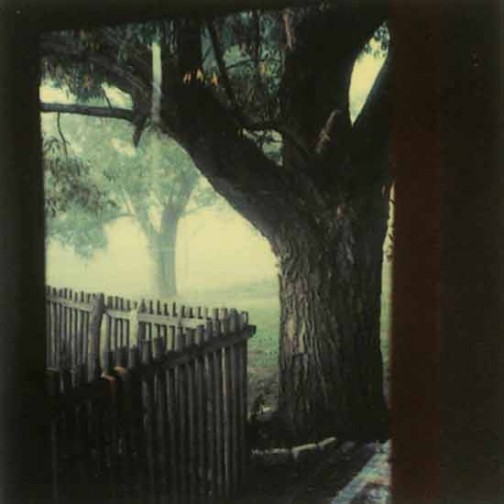 Andrei Tarkovsky: Instant Light | The Culturium