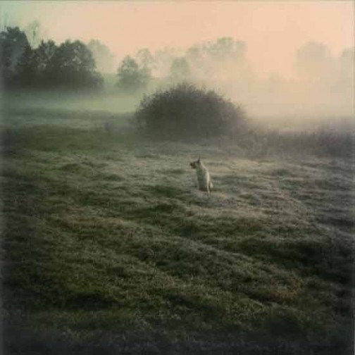 Andrei Tarkovsky: Instant Light | The Culturium