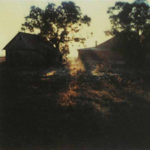 Andrei Tarkovsky: Instant Light | The Culturium