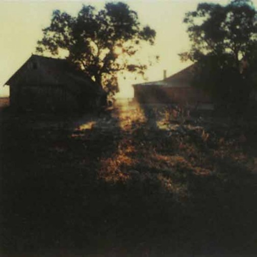 Andrei Tarkovsky: Instant Light | The Culturium