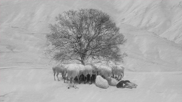 Abbas Kiarostami: 24 Frames - The Culturium