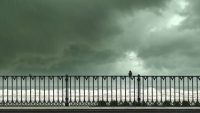 Abbas Kiarostami: 24 Frames - The Culturium