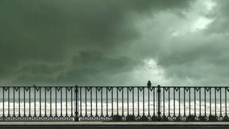 Abbas Kiarostami: 24 Frames - The Culturium