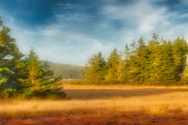 Jerry Katz: A Simple Life | The Culturium